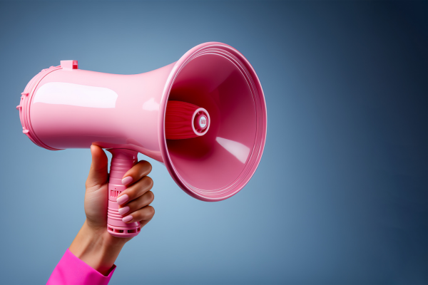 The Importance of a French VAT Number for EMEBI Declarations | RM Boulanger