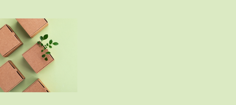 Point d'actualité : Éco-contribution et REP en France | RM Boulanger